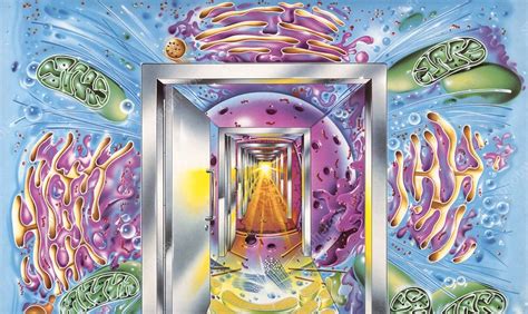 Cell Biology Research Conceptual Illustration Stock Image C0485437 Science Photo Library