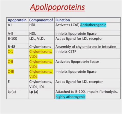 Apolipoproteins Medizzy