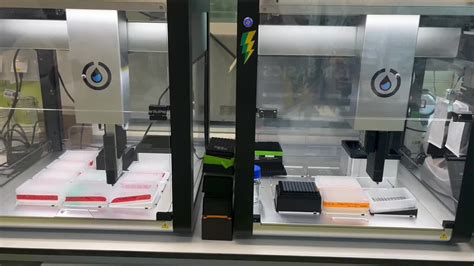 Nikolay Dobrev On Linkedin Flex