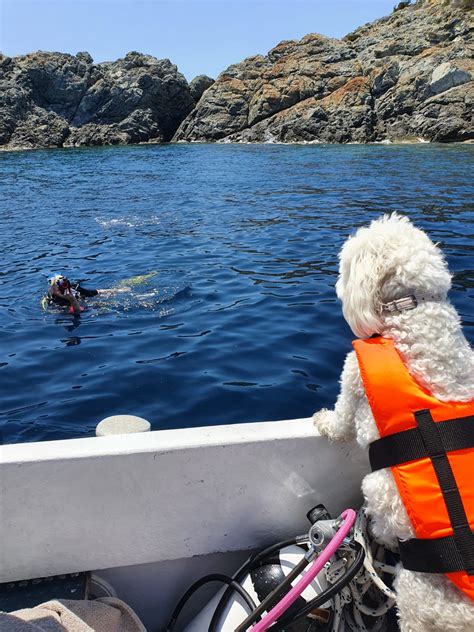 About Morten Blog By Morten Knudsen About Microsoft Security Azure