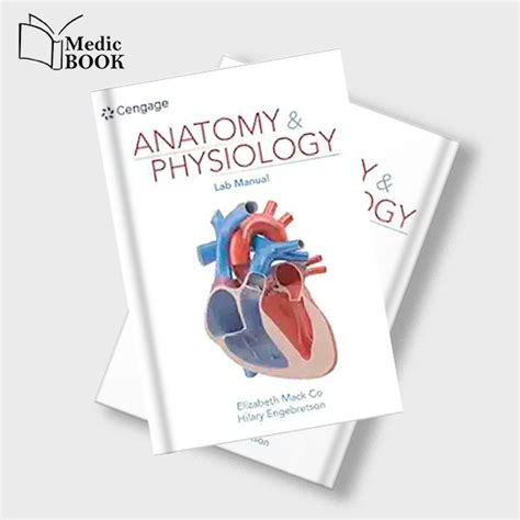 Anatomy And Physiology Lab Manual Original PDF From Publish