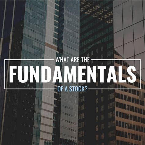 What Are Stock Fundamentals Definition Examples And
