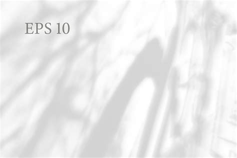 투명한 자연 나무 그림자입니다 조명 효과 오버레이 메쉬 그리드 땅에 있는 나뭇가지에서 그림자 디자인 카드 포스터 프레젠테이션 사진 사실적인 벡터 일러스트레이션 0명에 대한