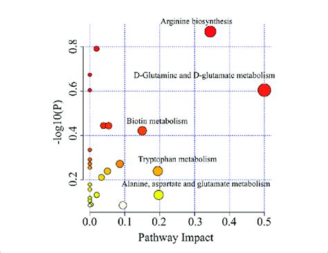 Enrichment Of Pathway Analysis With Metaboanalyst Download