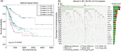 Figure 1 From Integrative Analysis Of Prognostic Long Non Coding Rnas With Copy Number Variation