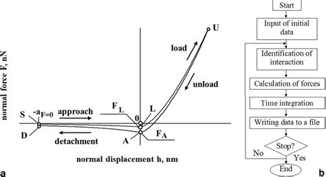 Attractive Dissipative Model During Normal Interaction Dependence Of