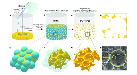 Fabrication Steps Of The Polymerised High Internal Phase Emulsion