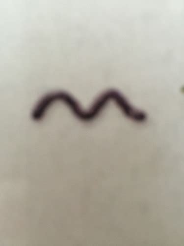 Microbiology Lab Quiz 1 Microbiology Lab Quiz 1 Flashcards Quizlet