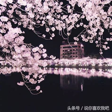 經典人生哲理語錄，句句精闢 每日頭條