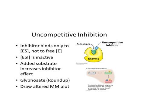 Enzyme Powerpoint Slides Learnpick India