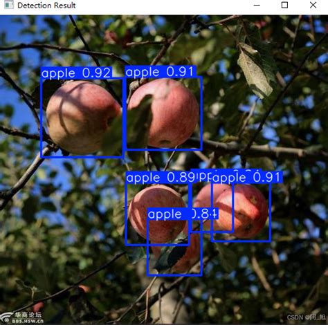基于yolo11深度学习的果园苹果检测与计数系统设计与实现【python源码pyqt5界面数据集训练代码】 Csdn博客