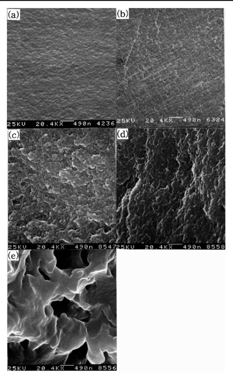 Figure 9 From Synthesis And Applications Of Teos Pdms Hybrid Material By The Sol Gel Process