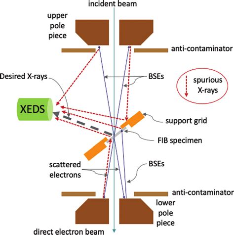 Schematic Diagram Showing Sources Of Spurious X Rays Red Dotted Lines