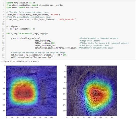 Visualizing Class Activations With Keras Vis Hands On Neural Networks