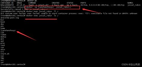 docker容器管理常用命令详解 csdn博客