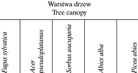 The Impact Of Tree Canopy Species On Species Composition Of Tree