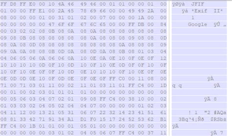 Ecdfp Module 5 File System Analysis Part 5