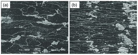Sem Microstructure 1000× A Severe Plastic Deformation Spd Download Scientific Diagram