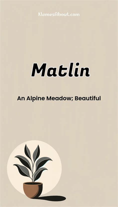 Matlin Name Meaning And Origins Nicknames Sibling Ideas