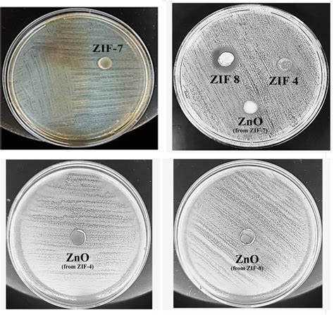 The Antibacterial Test With The Agar Well Diffusion Assay Method Download Scientific Diagram