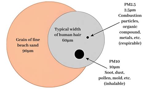 Particulate Matter Pm2 5 And Pm10 Download Scientific Diagram