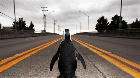 20 Years Later Real Time Linux Makes It To The Kernel Really