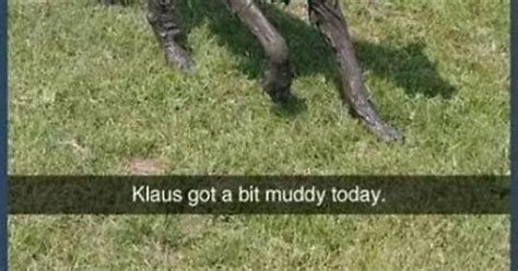 16 pieces of internet somewhat worthy of your perusal album on imgur