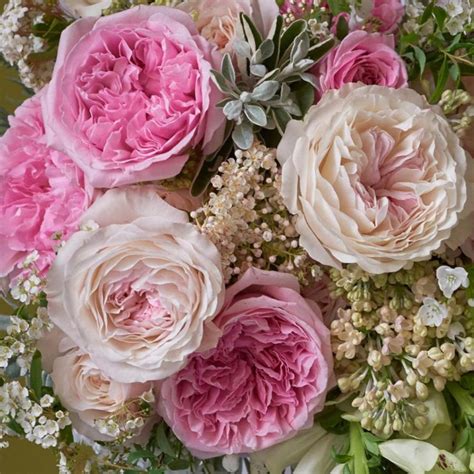 Пионовидные розы (100 фото): сорта, способы выращивания, варианты ...