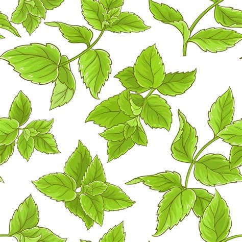 Premium Vector Peppermint Vector Pattern