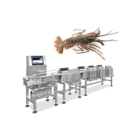 Weight Sorting Machine Toptictech