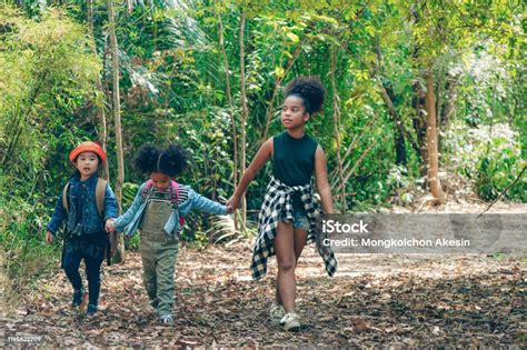 숲에서 함께 걷는 재미를 가진 아프리카 계 미국인 아이들의 다양한 사람들 귀여운에 대한 스톡 사진 및 기타 이미지 귀여운