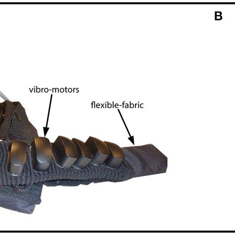 Sensory Augmentation Device And Rotating Platform A Shows The Download Scientific Diagram