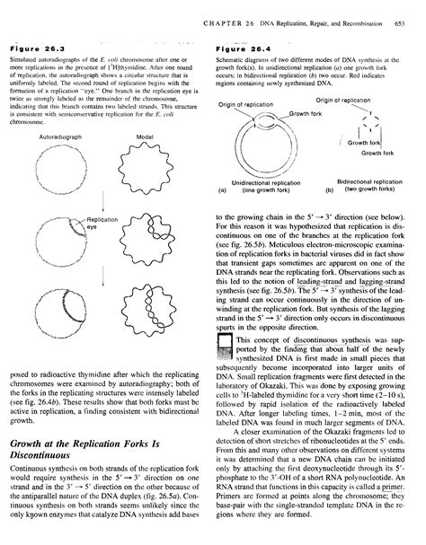 Replication Bidirectional Big Chemical Encyclopedia