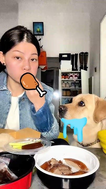 😂🤣😁狗狗：使唤完狗子也不给好吃的？瞧这小眼神 一人一狗俩逗比 狗子成精了 Youtube