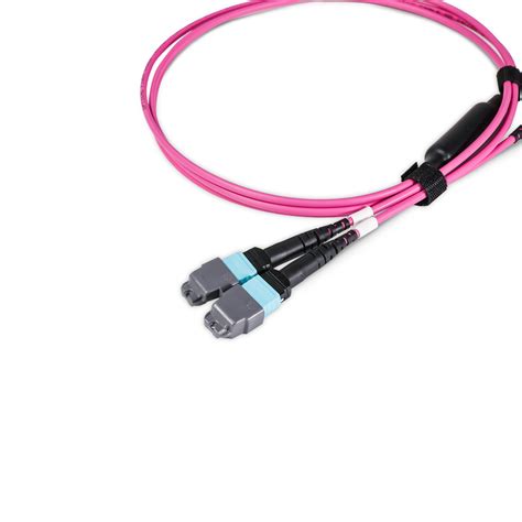 6m 20ft 1× 24 Mtp Female To 2× 12 Mtp Om4 50125 Multimode Elite