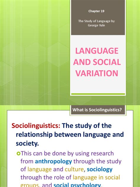 Chapter 19 Language And Social Variation Pdf Sociolinguistics Dialect