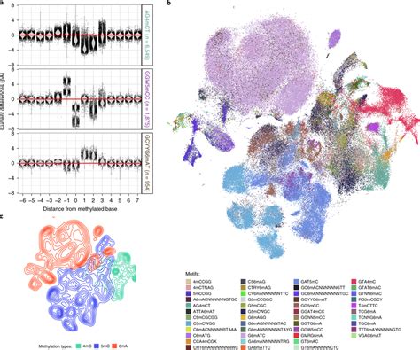 Systematic Examination Of Three Main Types Of Dna Methylation With Download Scientific Diagram
