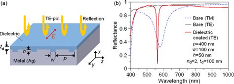 A Schematic Illustration Of The Dielectric Coated Metal Grating Upon Download Scientific