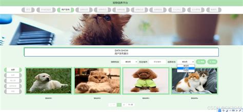 Jsp宠物领养平台jxo74（程序源码数据库调试部署开发环境） Csdn博客