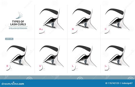 Eyelash Extension Infographics Step By Step Guide Types Of Lash Curls Vector Illustration