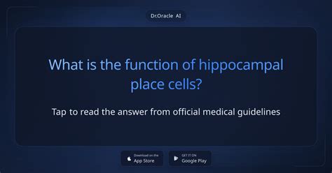 What Is The Function Of Hippocampal Place Cells