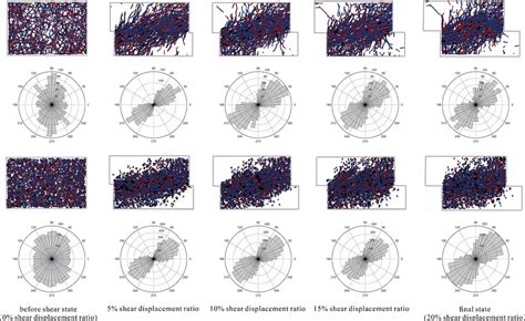 Side View And Anisotropy Of Strong Contact Force Chains Download