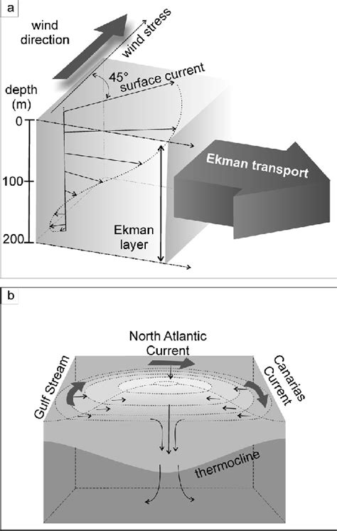 5 A Schematic Representation Of The Ekman Spiral For The Northern Download Scientific