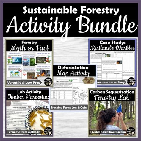 Forest Resources And Sustainable Forestry Activity Bundle Environmental Science