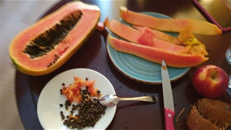 ეგზოტიკური ხილბოსტანი Youtube