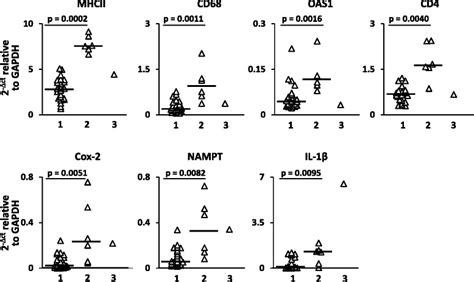 Genes With Discriminatory Power In Cluster Analysis Gene Expression Download Scientific