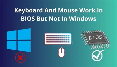 Solved Keyboard And Mouse Work In BIOS But Not In Windows