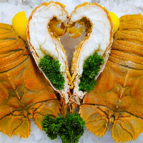Moreton Bay Bugs Cooked 1kg Sea2u