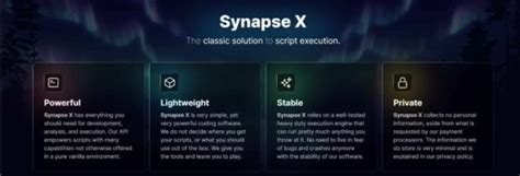 How To Download Use Synapse X For Roblox 2025