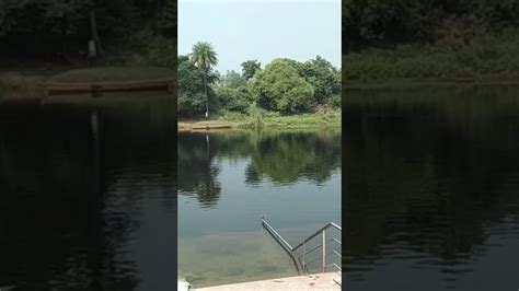 Shortviralshortsyoutubeviralshortssubscribe Youtube